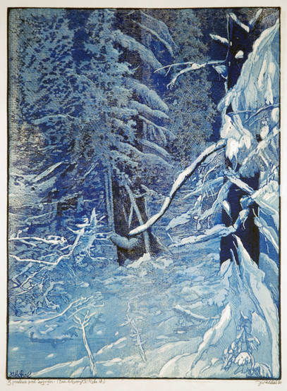 Šumava umírající a romantická (konvolut) - Josef Váchal (1884–1969) | 1 ...