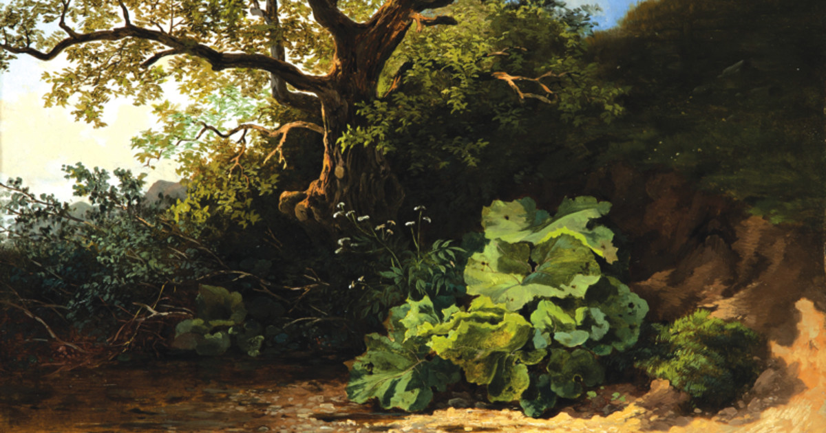 Burdock - Bedřich (Friedrich) Havránek (Hawranek) (1821–1899) | 1. Art ...